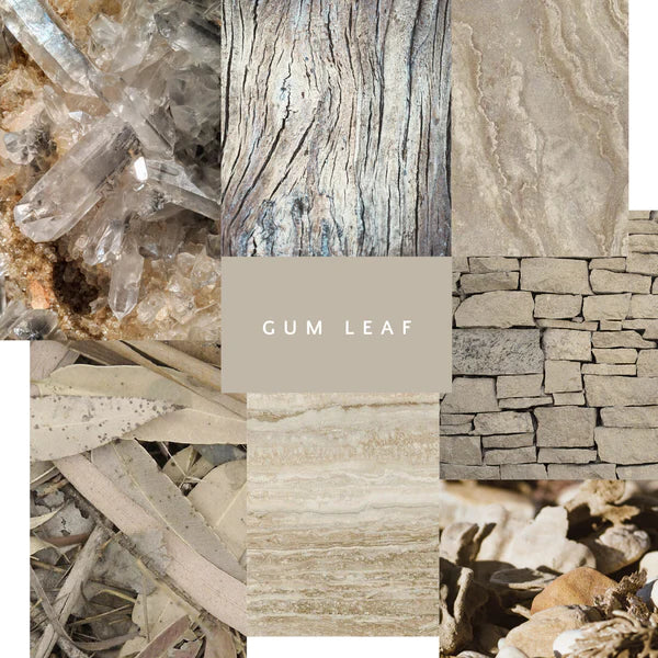 Bring Nature Indoors with Gumleaf Accessories – Sweet Pea Interiors