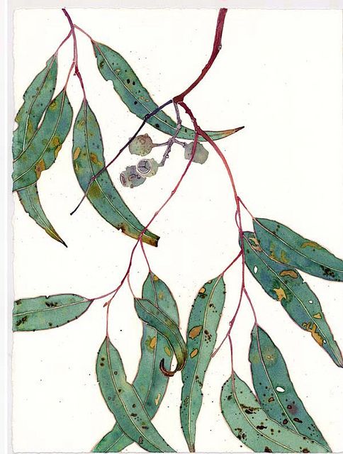 10 Gumleaf Essentials for Your Dream Home – Sweet Pea Interiors