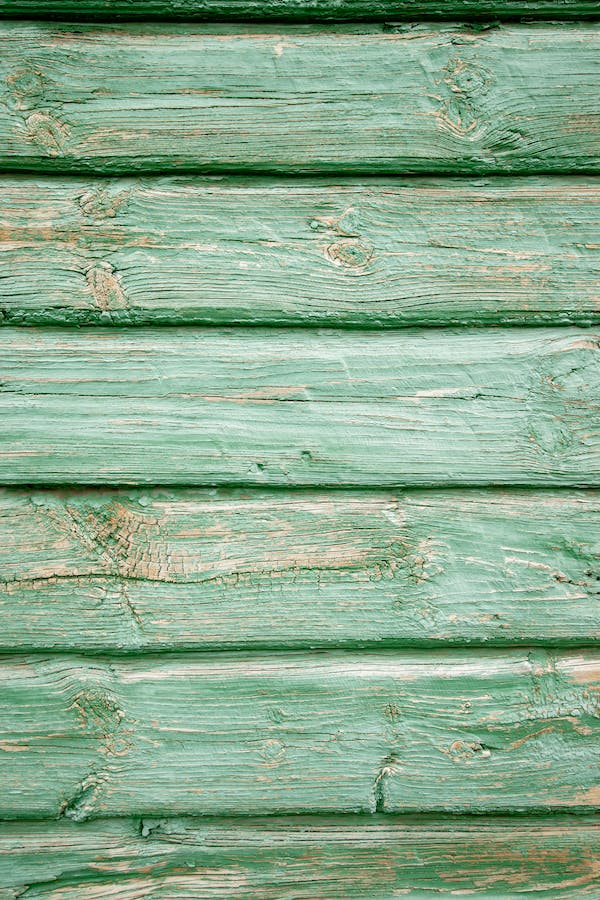 A Comprehensive Guide to Vintage Green Mineral Paint – Sweet Pea Interiors